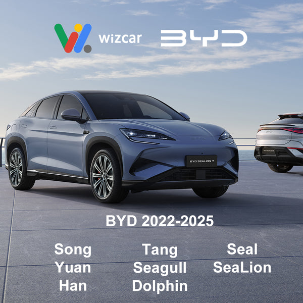 BYD SeaLion Seagull Seal Dolphin WIZCAR E01 Google Map Spotify Music M